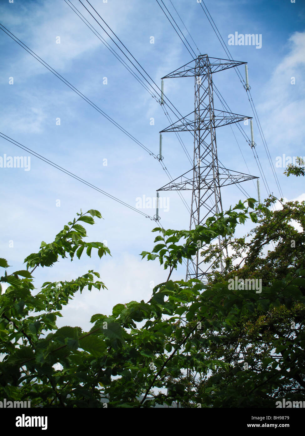 Electricity pylon and high tension power lines Stock Photo - Alamy