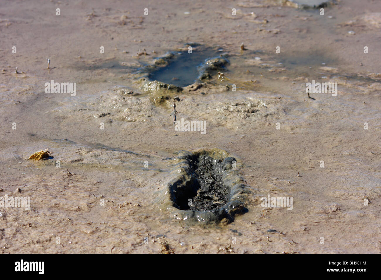 Footsteps In Mud High Resolution Stock Photography and Images - Alamy