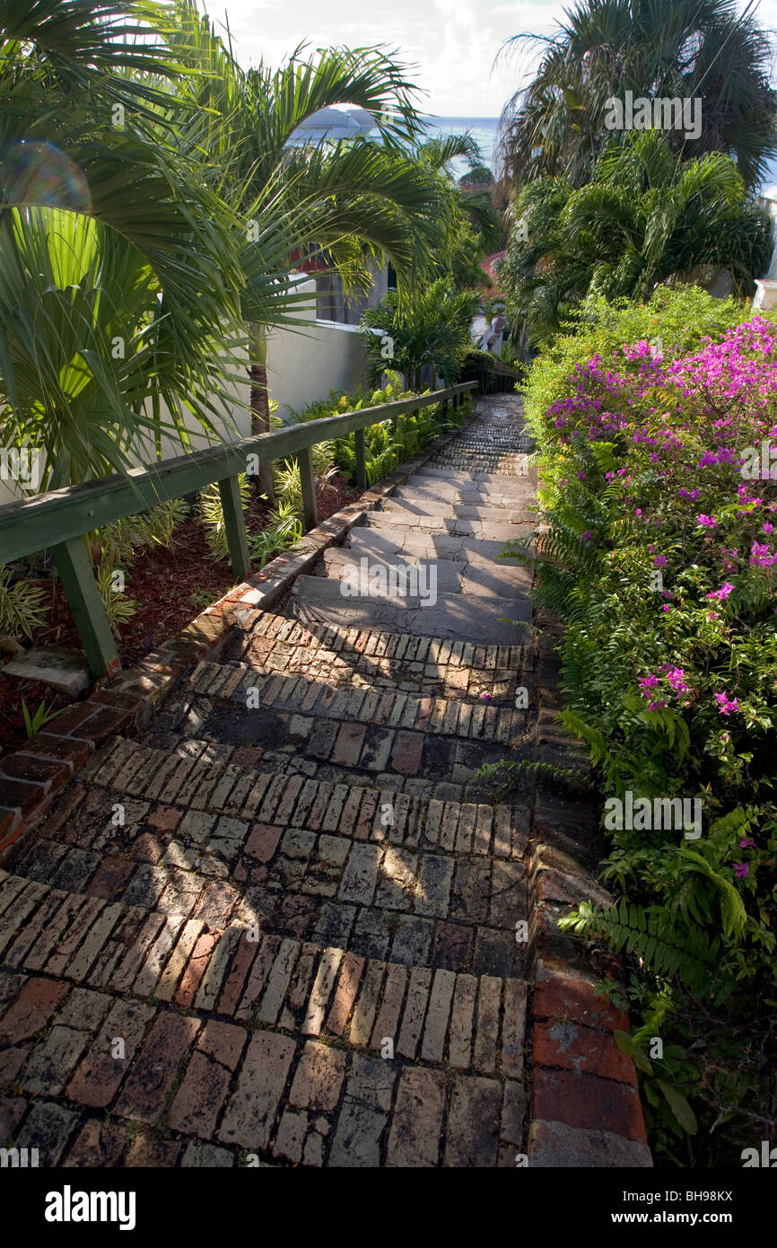 99 steps hi-res stock photography and images - Alamy