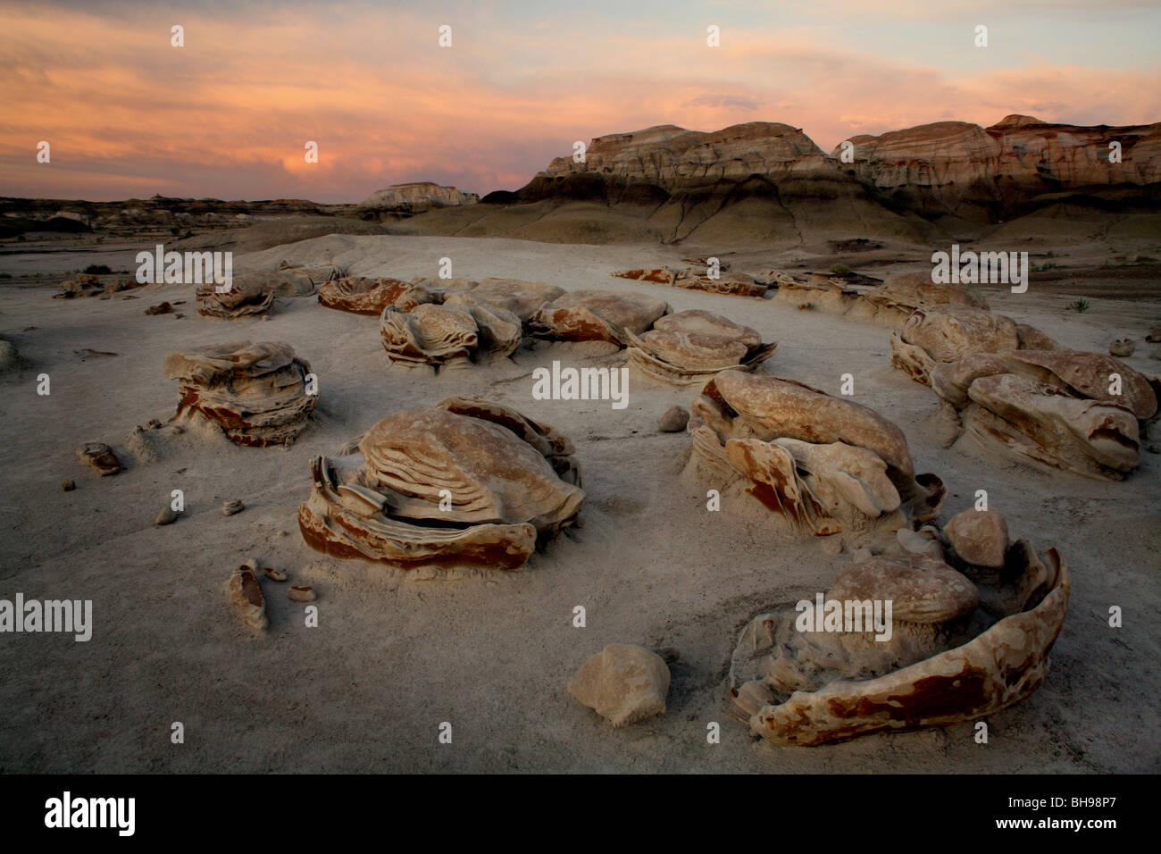 Strange rock formation in The Bisti Badlands in north western New ...