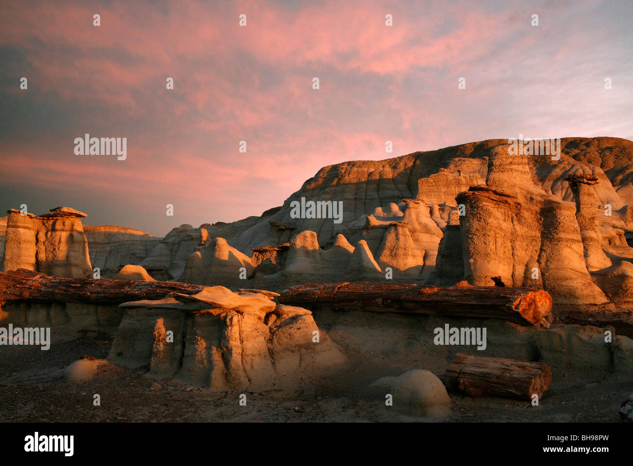 Strange rock formation in The Bisti Badlands in north western New ...