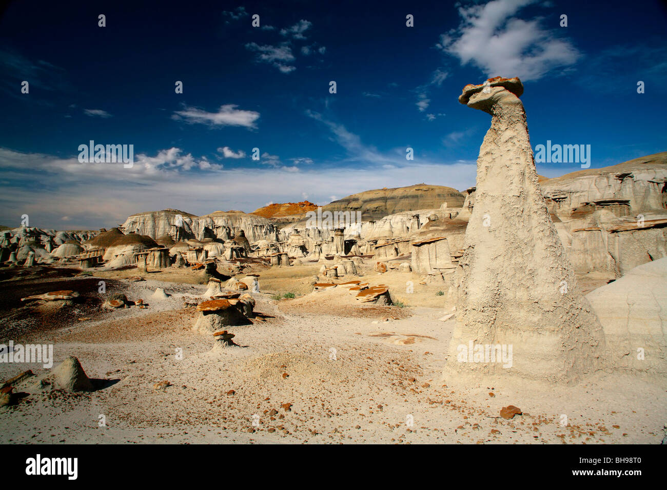 Strange rock formation in The Bisti Badlands in north western New ...