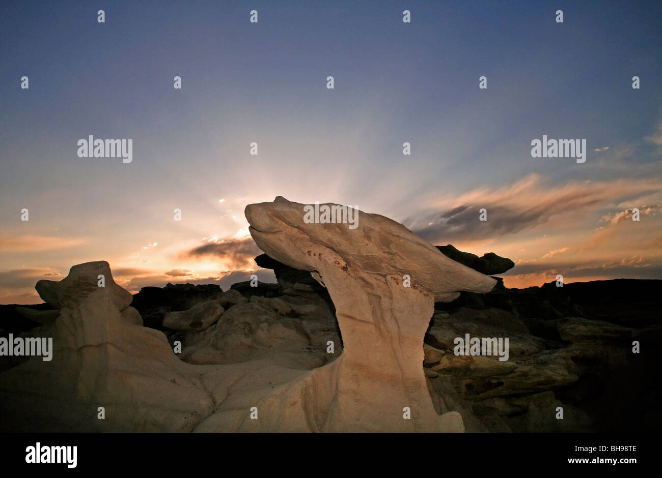 Strange rock formation in The Bisti Badlands in north western New ...