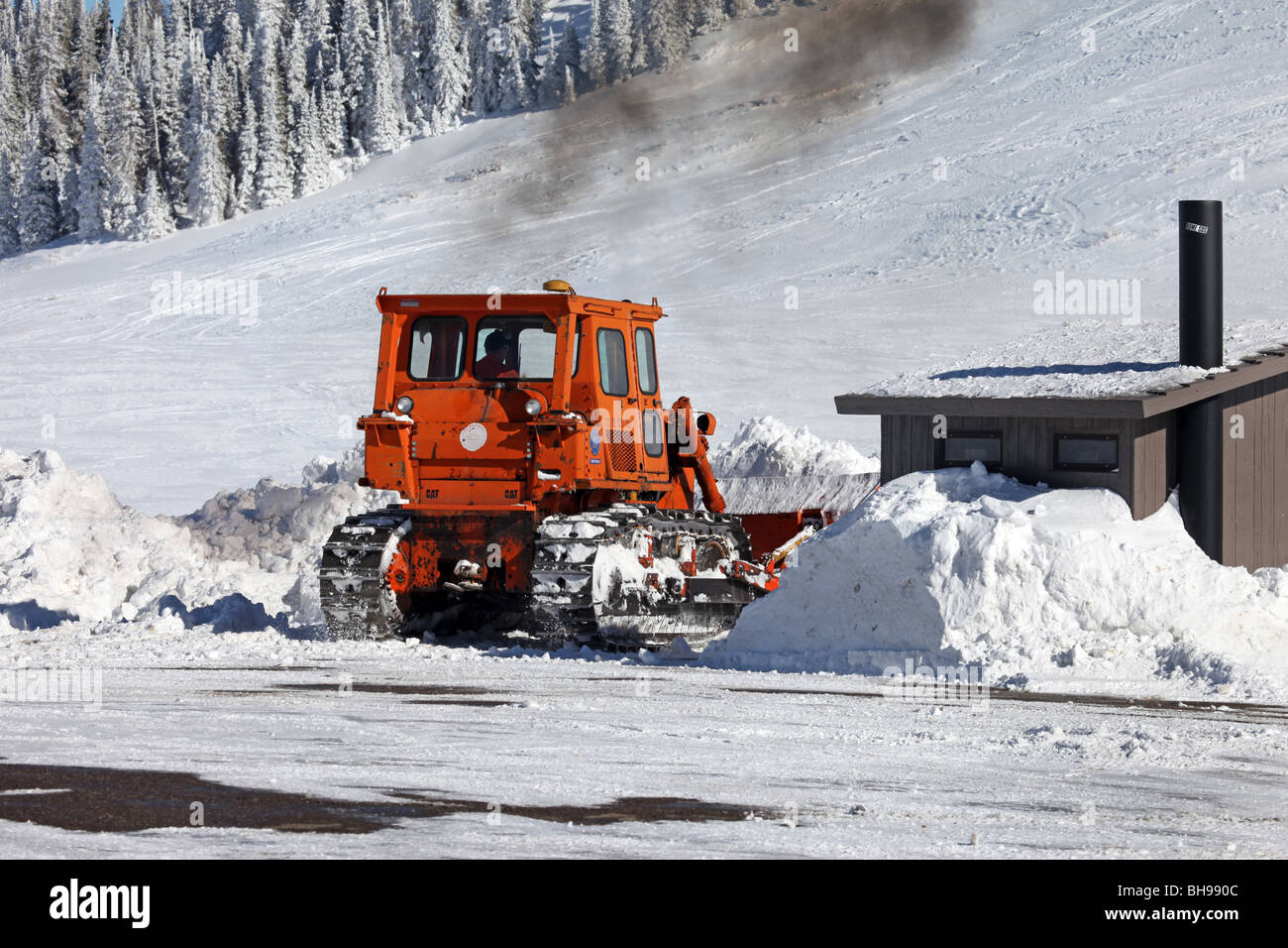 Ice caterpillar hi-res stock photography and images - Alamy