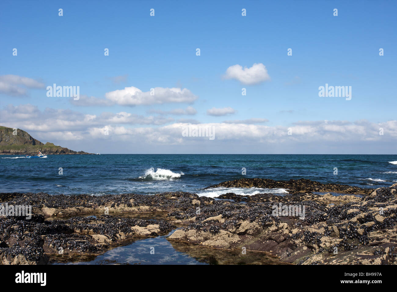 Trebetherick point hi-res stock photography and images - Alamy