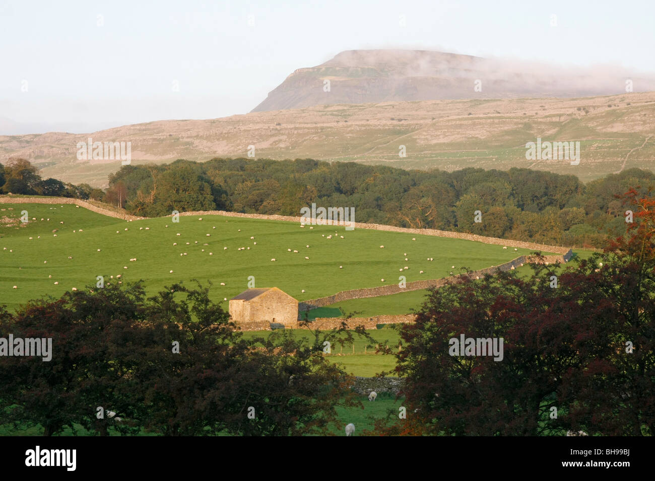 Ingleborough hill (724 m, 2376 ft) Yorkshire Dales, UK Stock Photo - Alamy