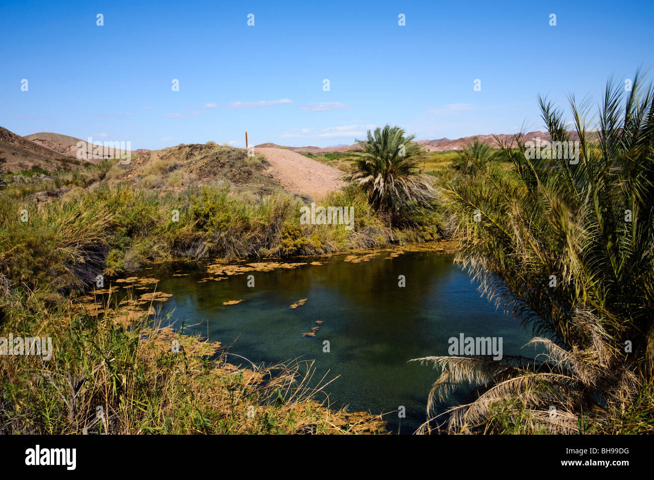 Yuma desert hi-res stock photography and images - Alamy