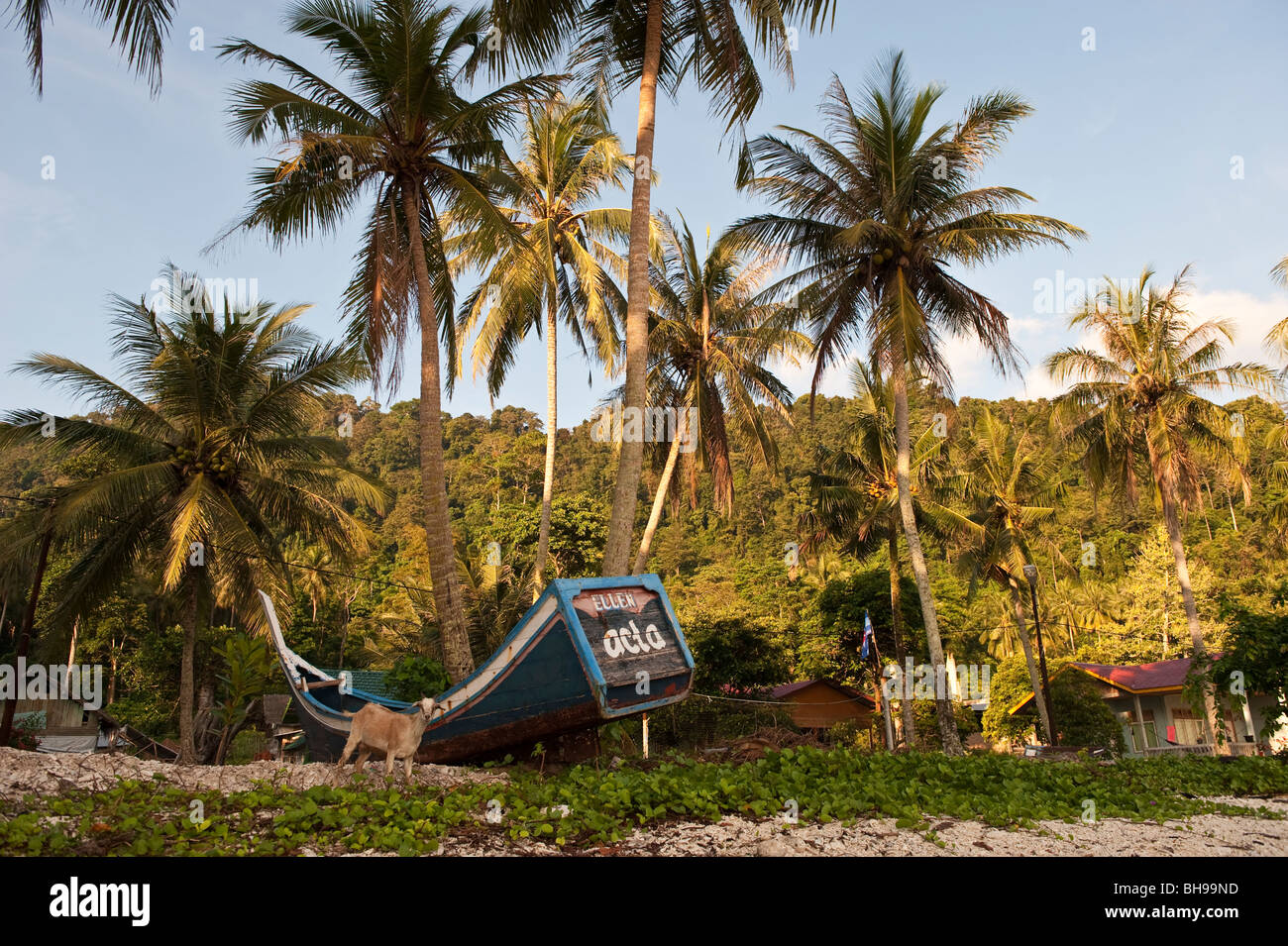 Boat on Gapang Beach, Pulau Weh, Sumatra, Indonesia Stock Photo - Alamy