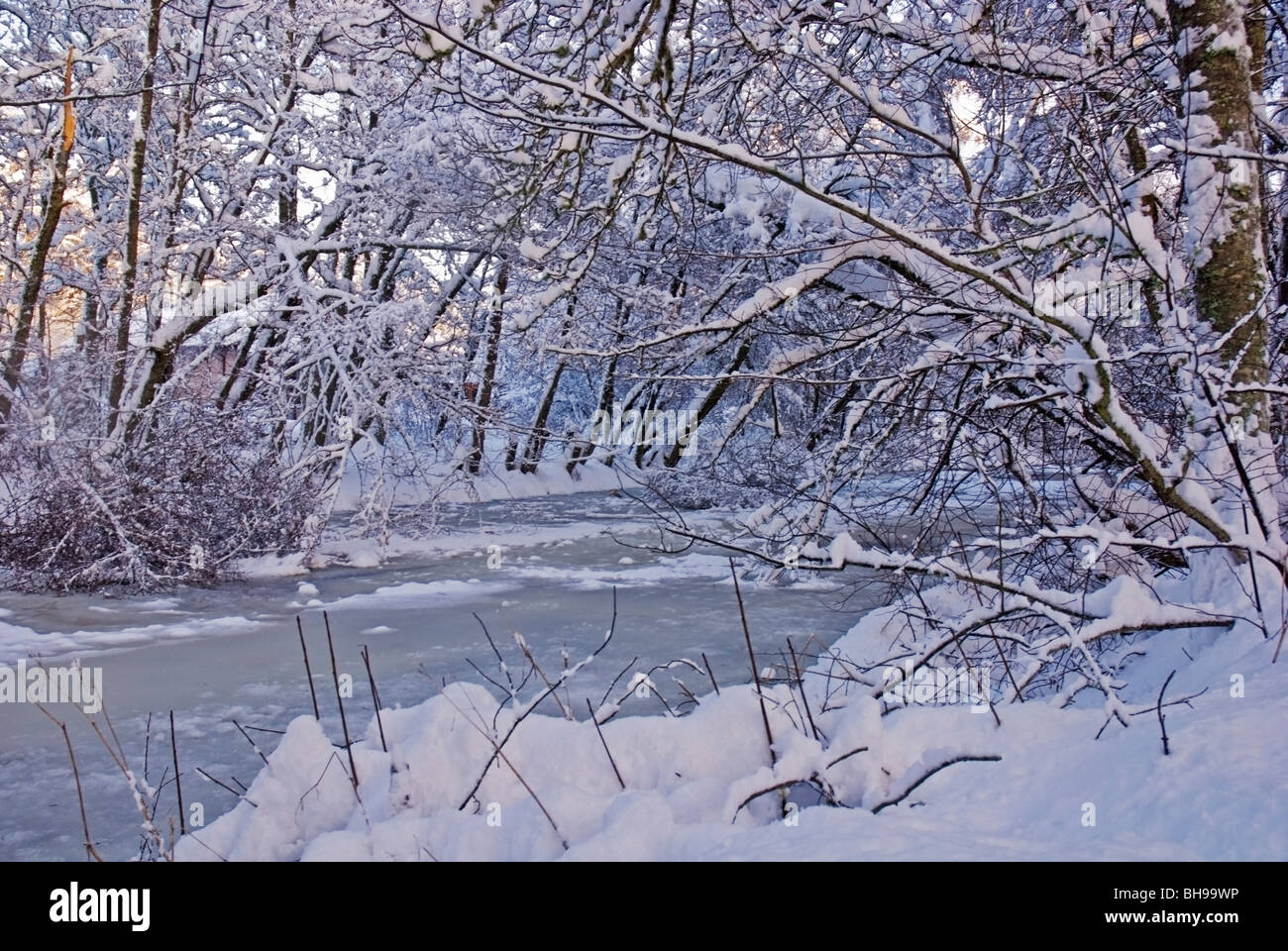 The River Nethy covered in snow Stock Photo - Alamy