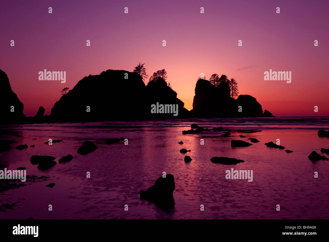 Shi Shi Beach at sunset, Olympic National Park, Washington Stock Photo ...