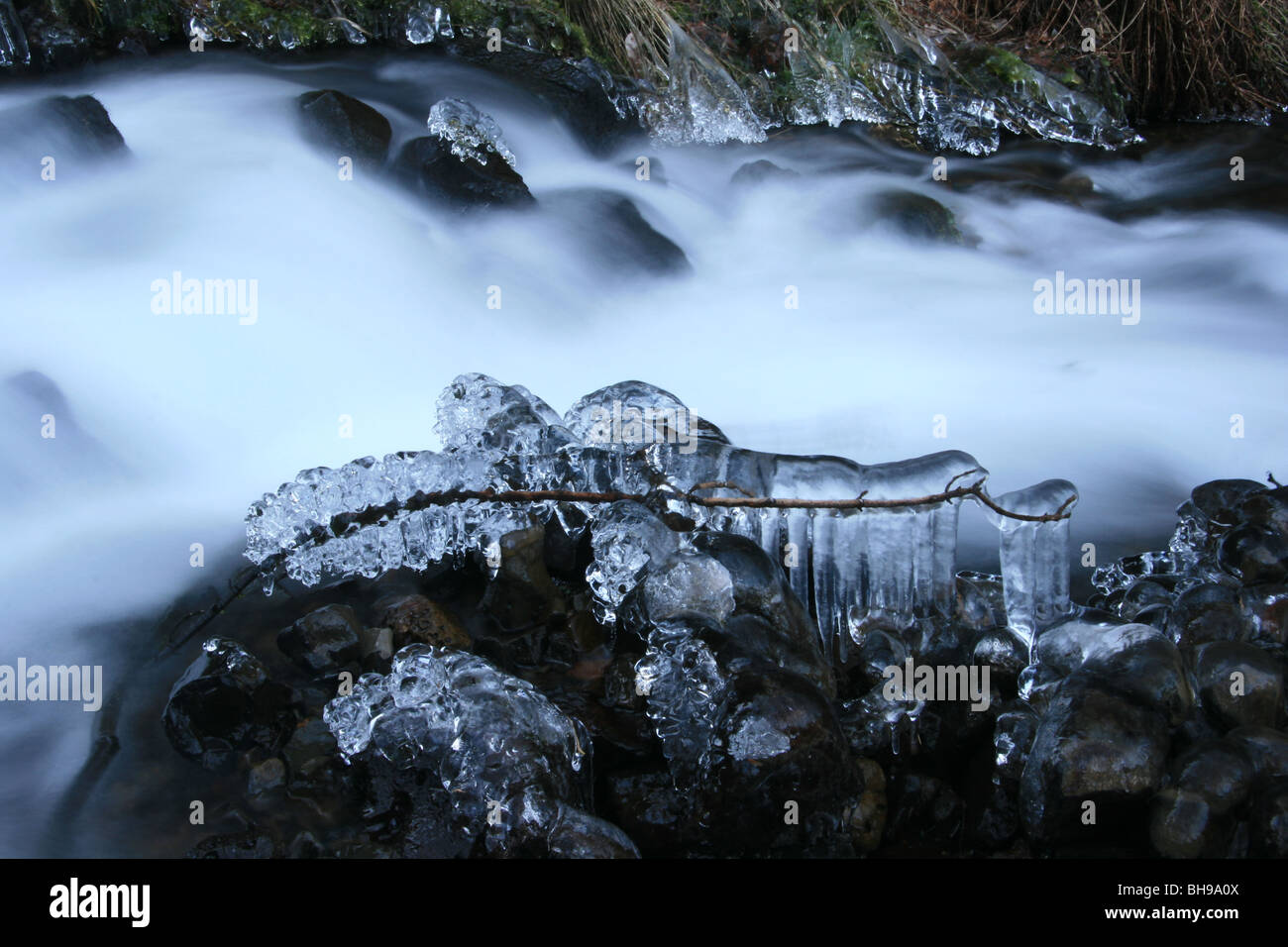 Ice forms in winter at a stream in Oregon Stock Photo - Alamy
