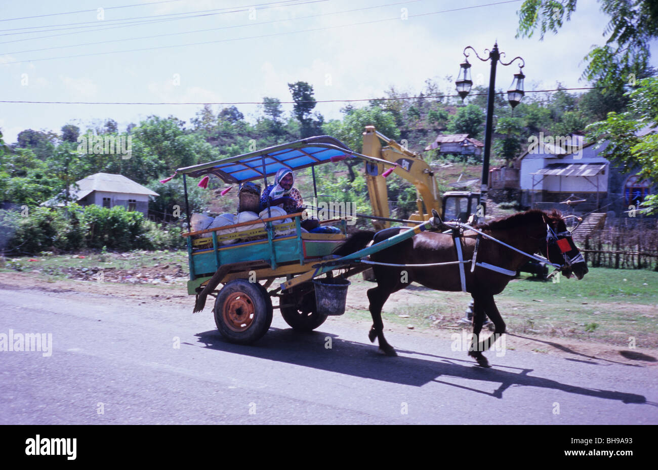 Horse Drawn Gari