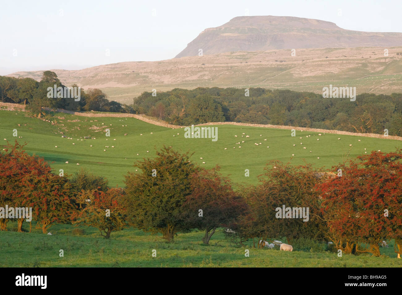 Ingleborough uk hi-res stock photography and images - Alamy