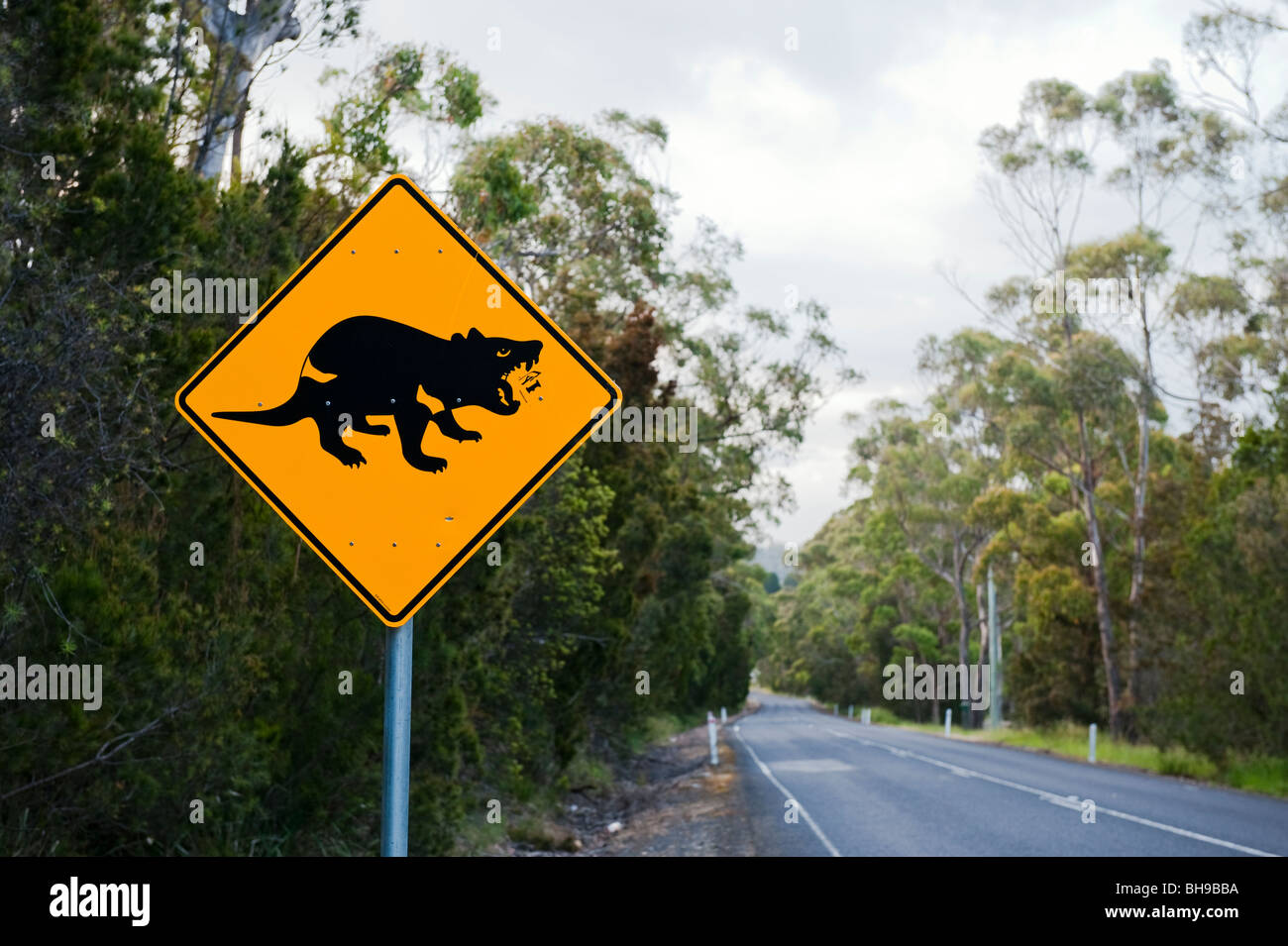 Tasmanian Devil Road Sign on the A9, Tasman Peninsula, Tasmania ...