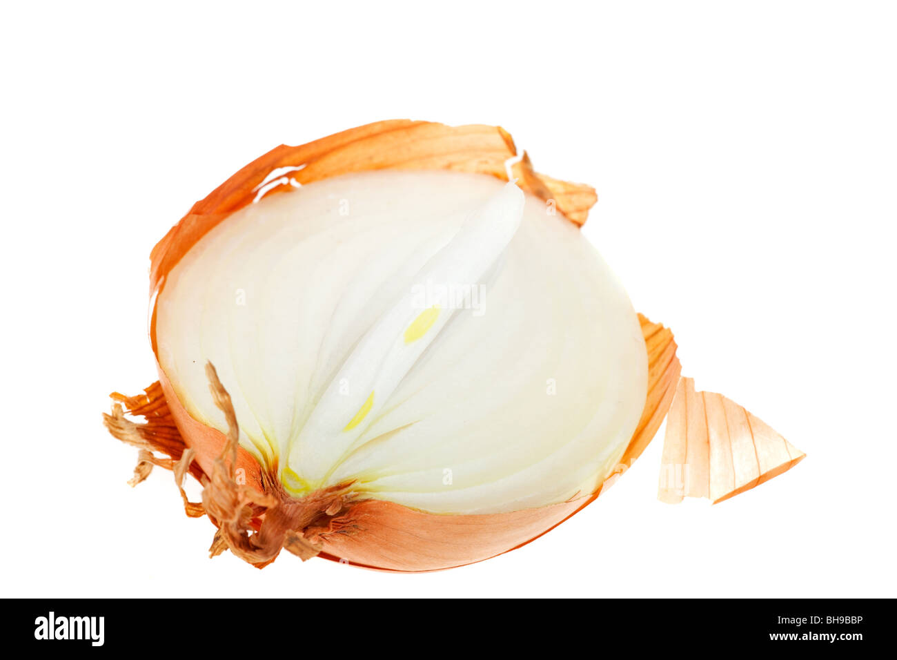 closeup of a sliced onion isolated on white background Stock Photo - Alamy