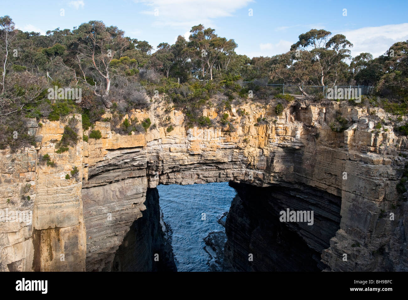 The Tasman Arch, Tasman Peninsula, Tasmania, Australia Stock Photo - Alamy