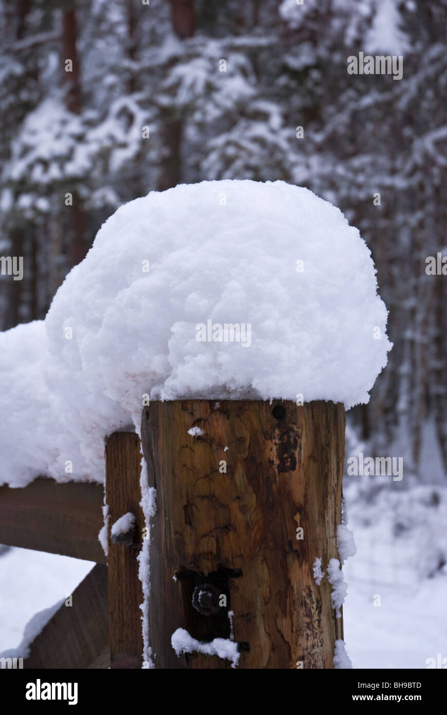 Frost buildup hi-res stock photography and images - Alamy