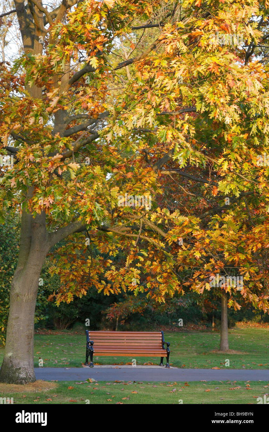 Autumn colours in a public park Stock Photo - Alamy