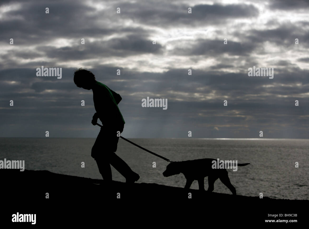 Labrador silhouette hi-res stock photography and images - Alamy