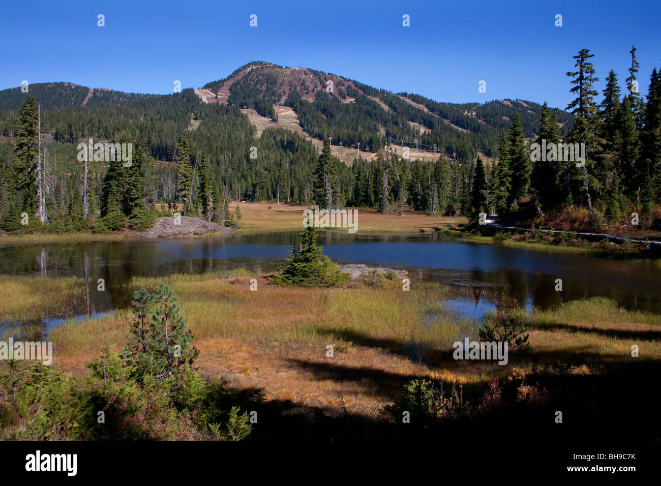 View over lake to Mt. Washington from Paradise Meadows Forbidden ...