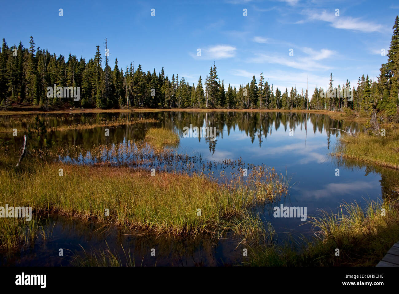 Lakeland scene at Paradise Meadows Forbidden Plateau Strathcona Park ...