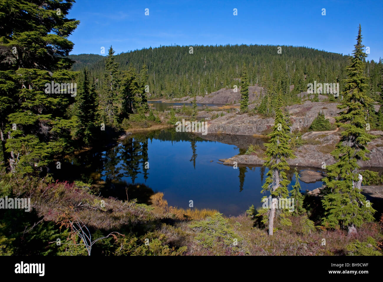 Sub-alpine tarns at the Forbidden Plateau Strathcona Park Vancouver ...