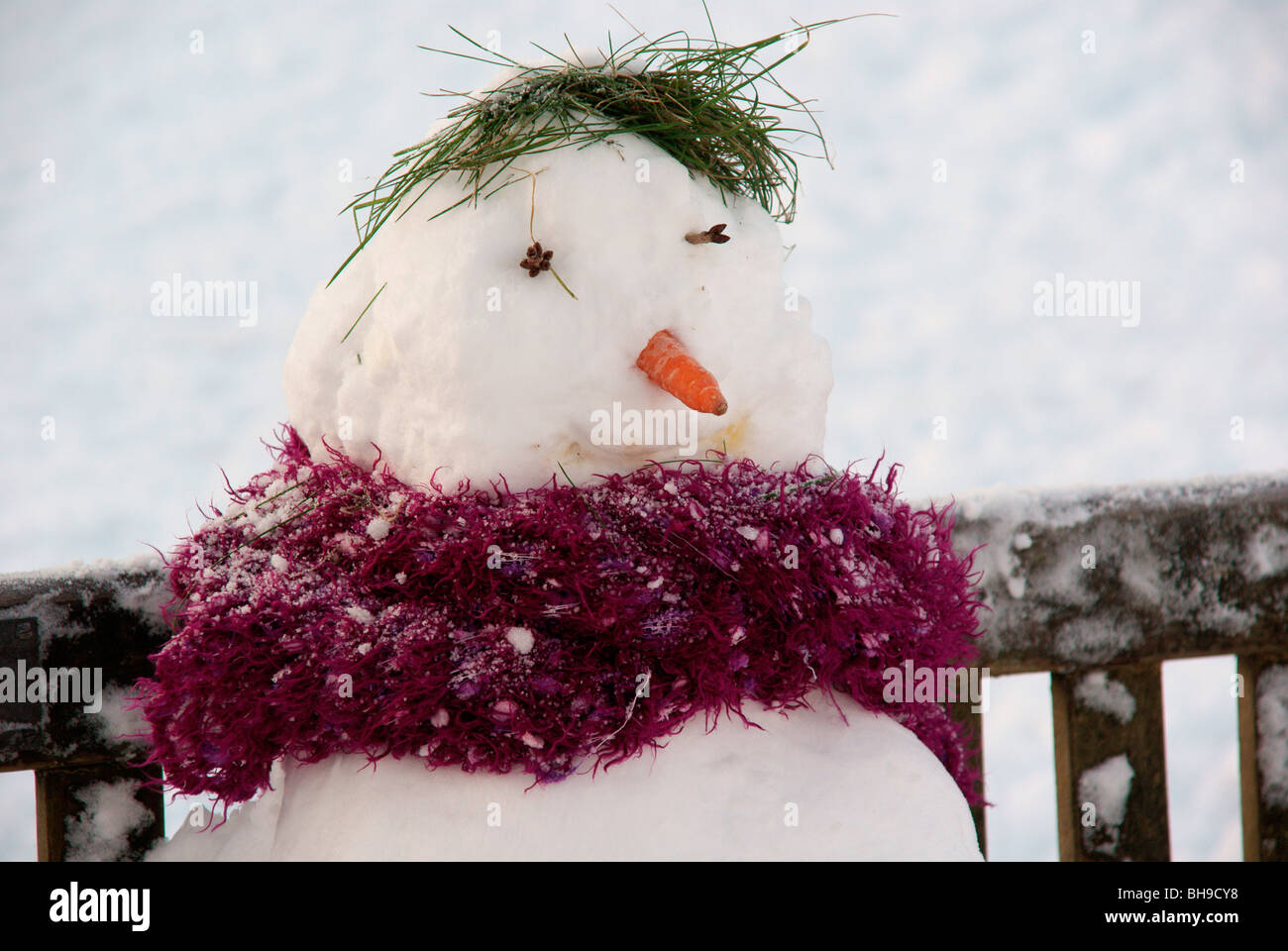 Snowmans nose hi-res stock photography and images - Alamy