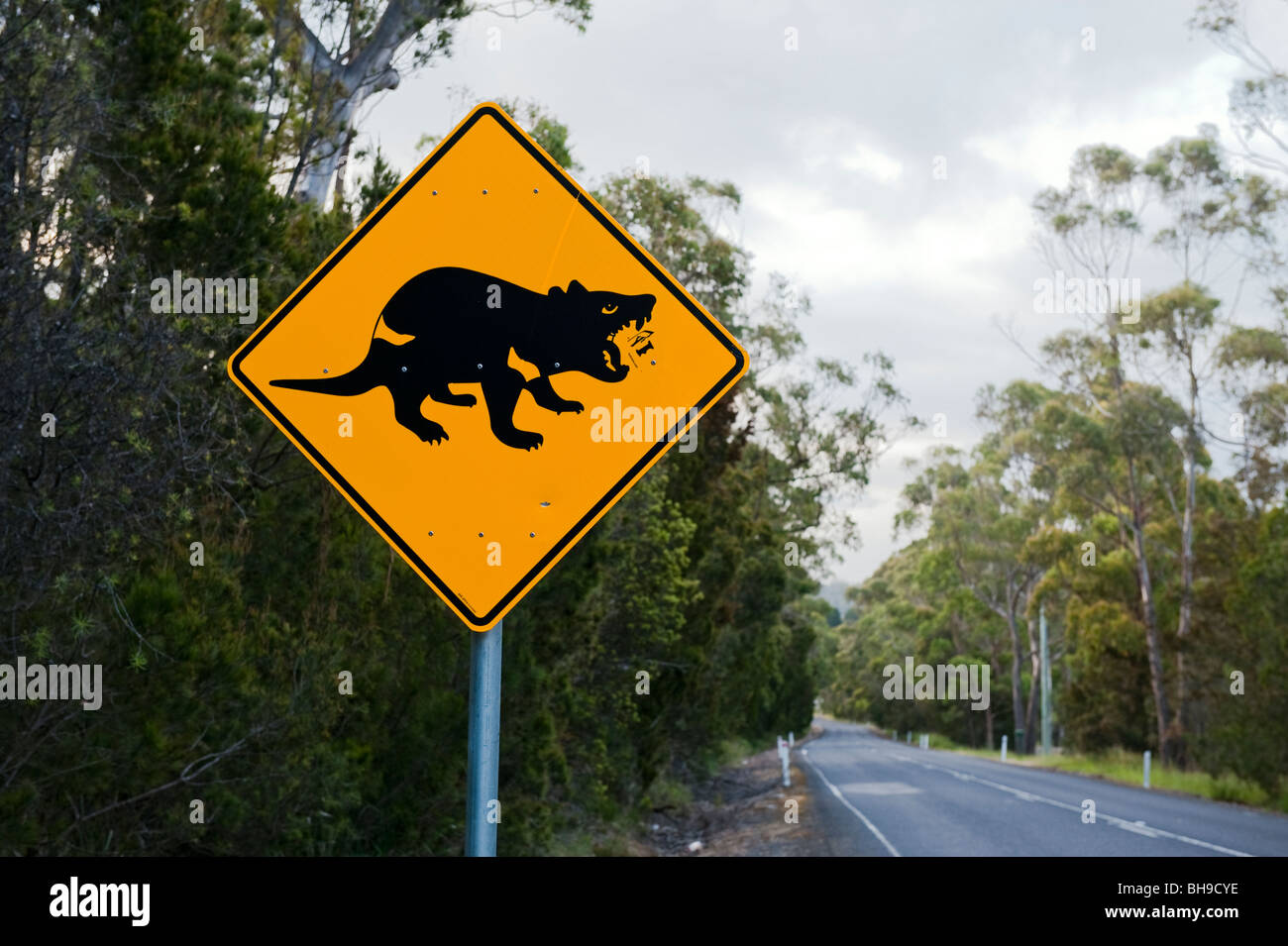 Tasmanian Devil Road Sign on the A9, Tasman Peninsula, Tasmania ...