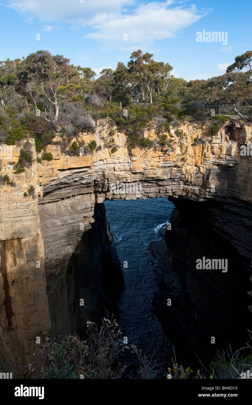 The Tasman Arch, Tasman Peninsula, Tasmania, Australia Stock Photo - Alamy