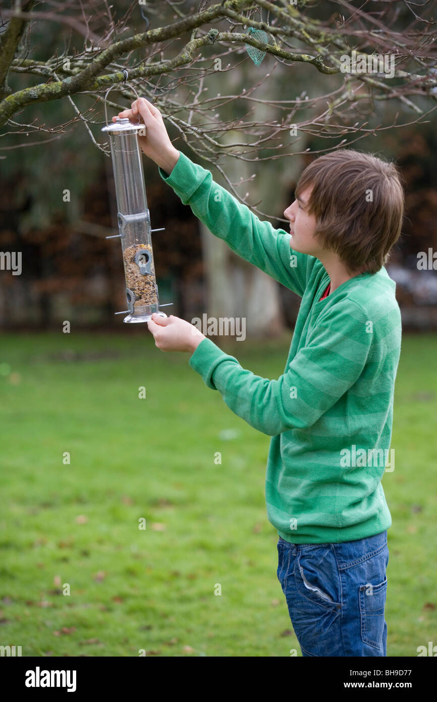 Boy hanging bird feeder Single teenager boy hanging bird feeder in ...