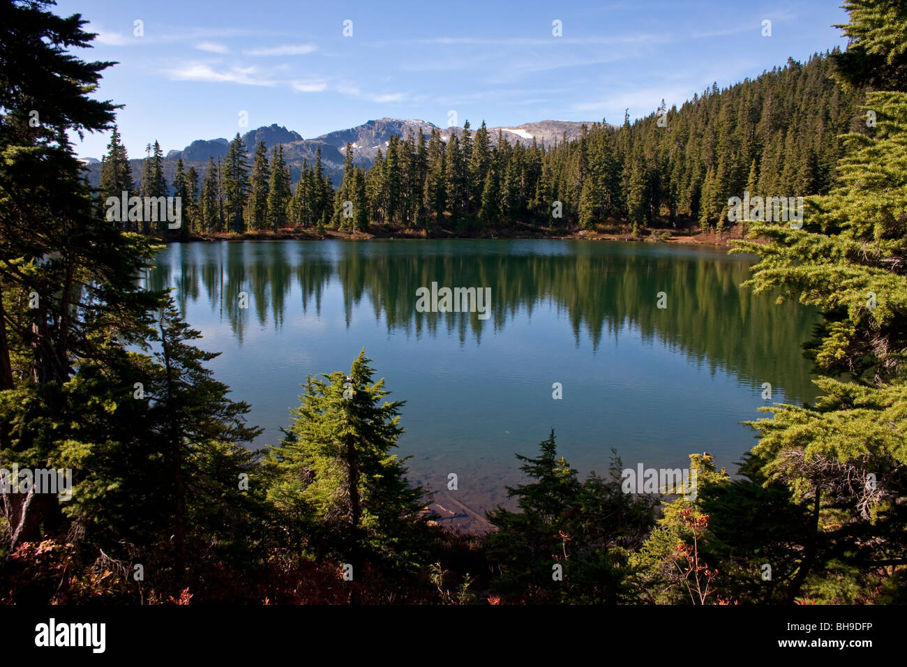 Forbidden Plateau High Resolution Stock Photography and Images - Alamy