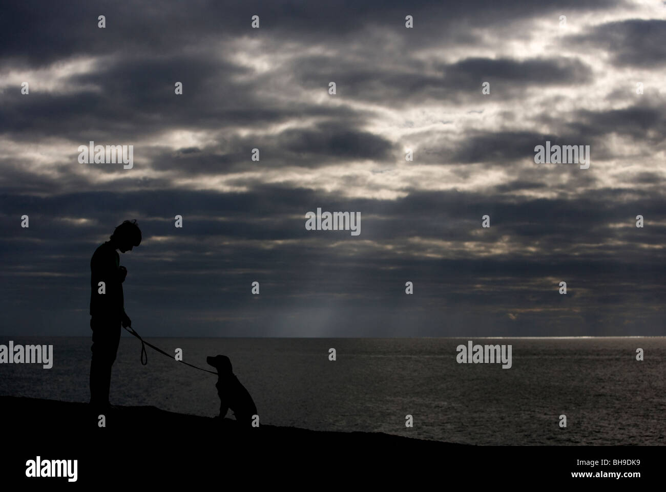 Labrador silhouette hi-res stock photography and images - Alamy