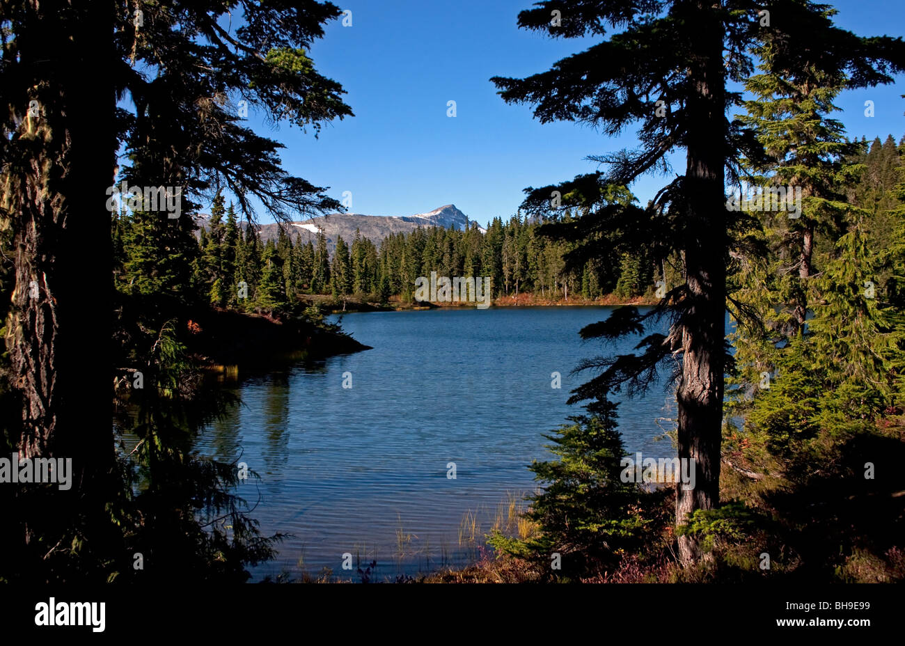 View across lake to Jutland Mountain from the Forbidden Plateau ...