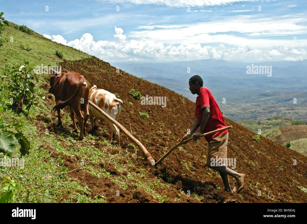Hand Plow Stock Photos & Hand Plow Stock Images - Alamy