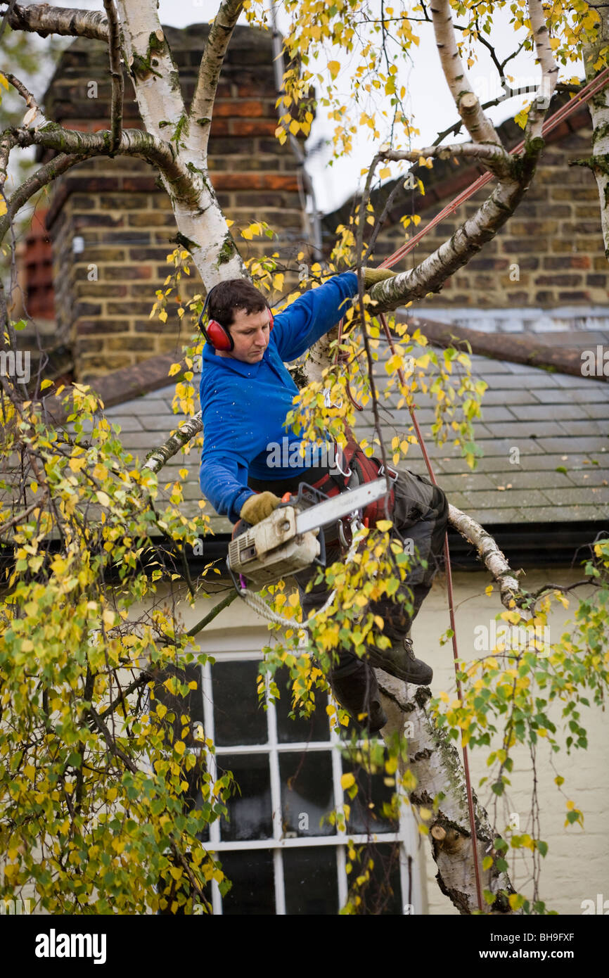 Garden large tree uk pruning hi-res stock photography and images - Alamy