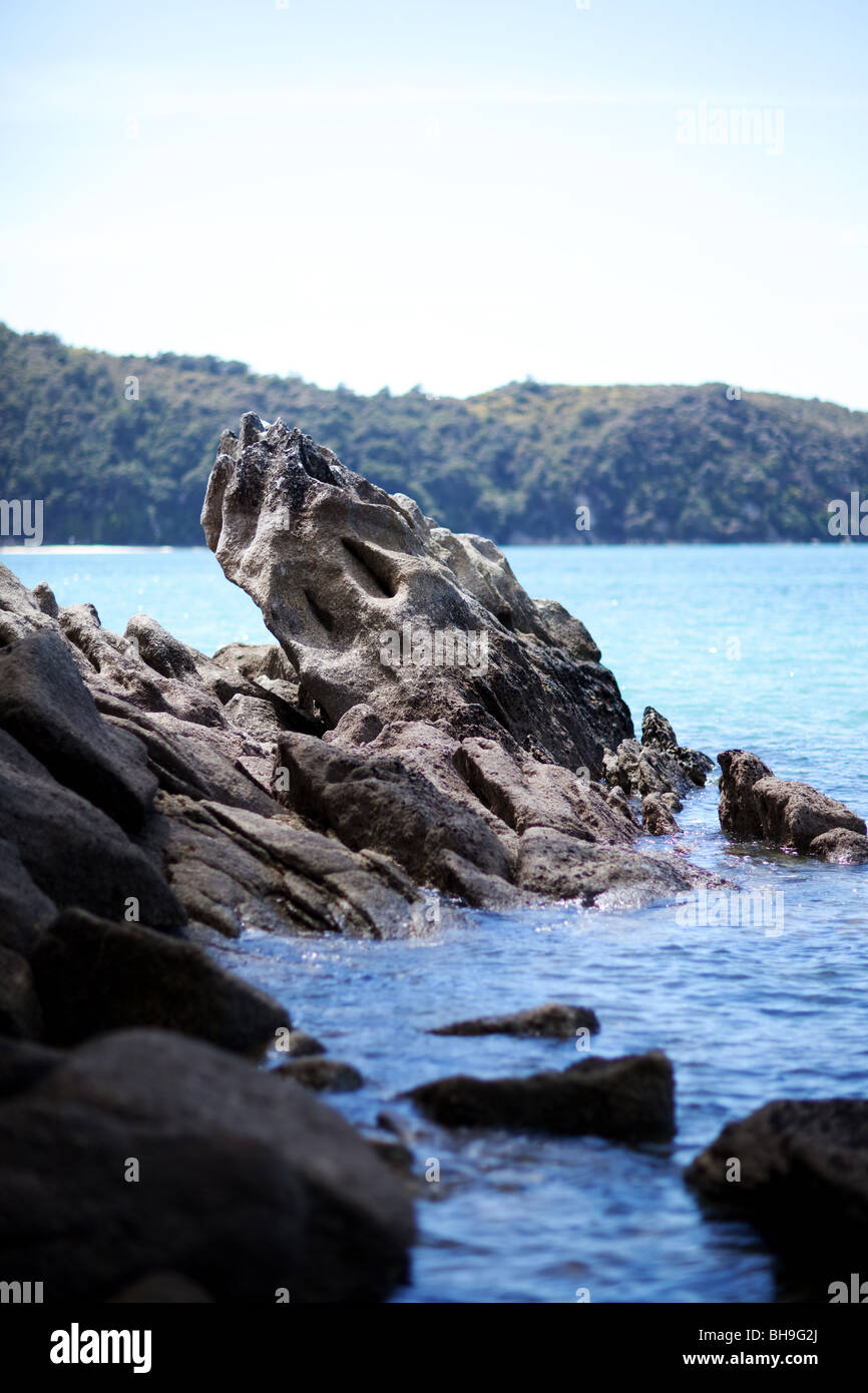 Abel Tasman National Park, South Island, New Zealand Stock Photo - Alamy