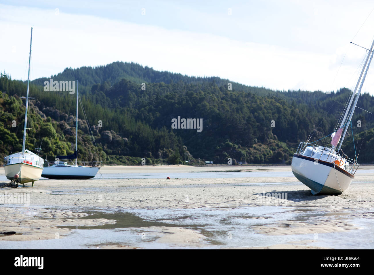 Abel Tasman National Park, South Island, New Zealand Stock Photo - Alamy