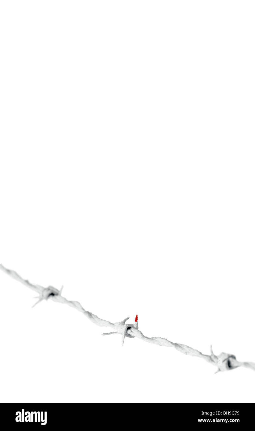 white barbed wire red tip Stock Photo - Alamy