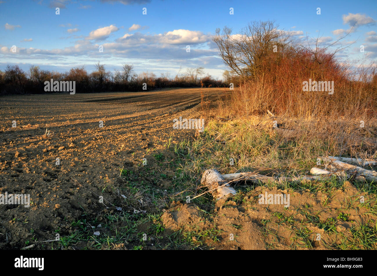 Lowland Plain High Resolution Stock Photography and Images - Alamy