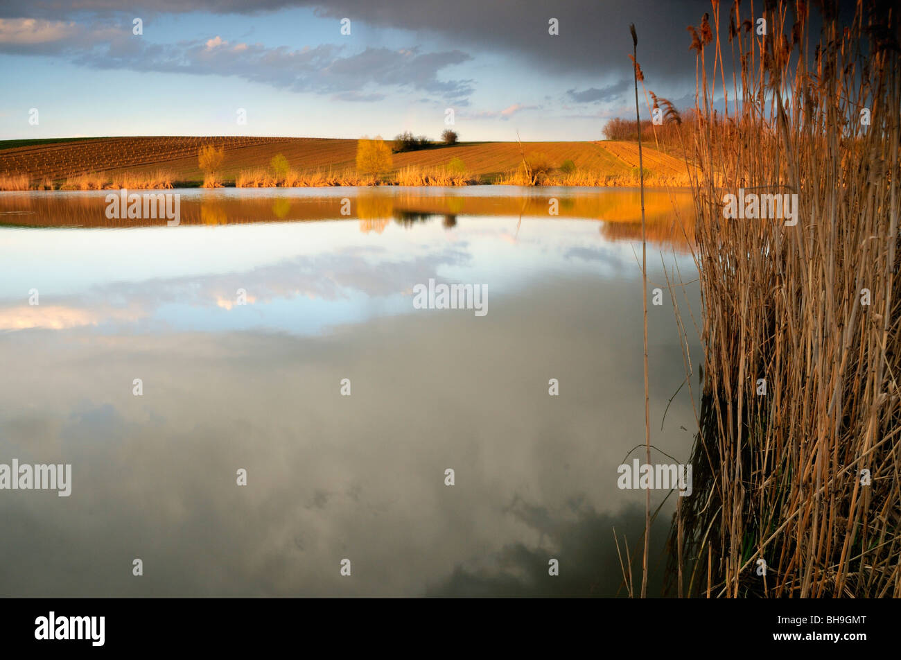 Just before the spring hi-res stock photography and images - Alamy