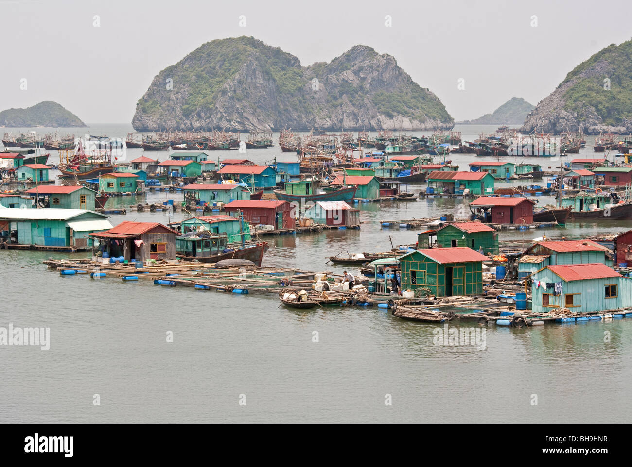Floating Vietnamese village of Van Gia in Cat Ba Island bay, North ...