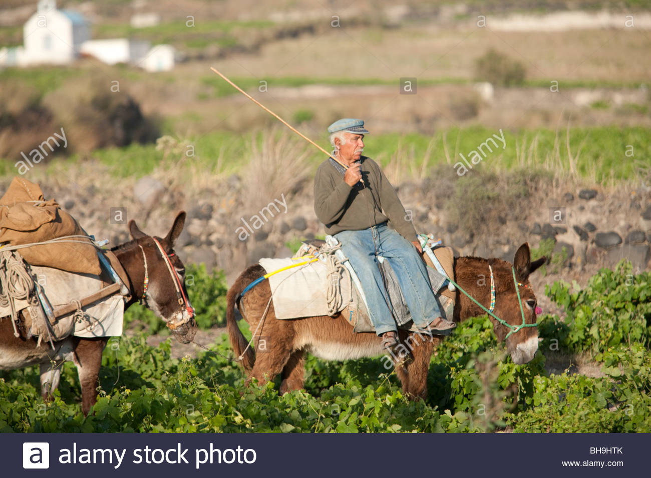 Man With Donkey High Resolution Stock Photography and Images - Alamy