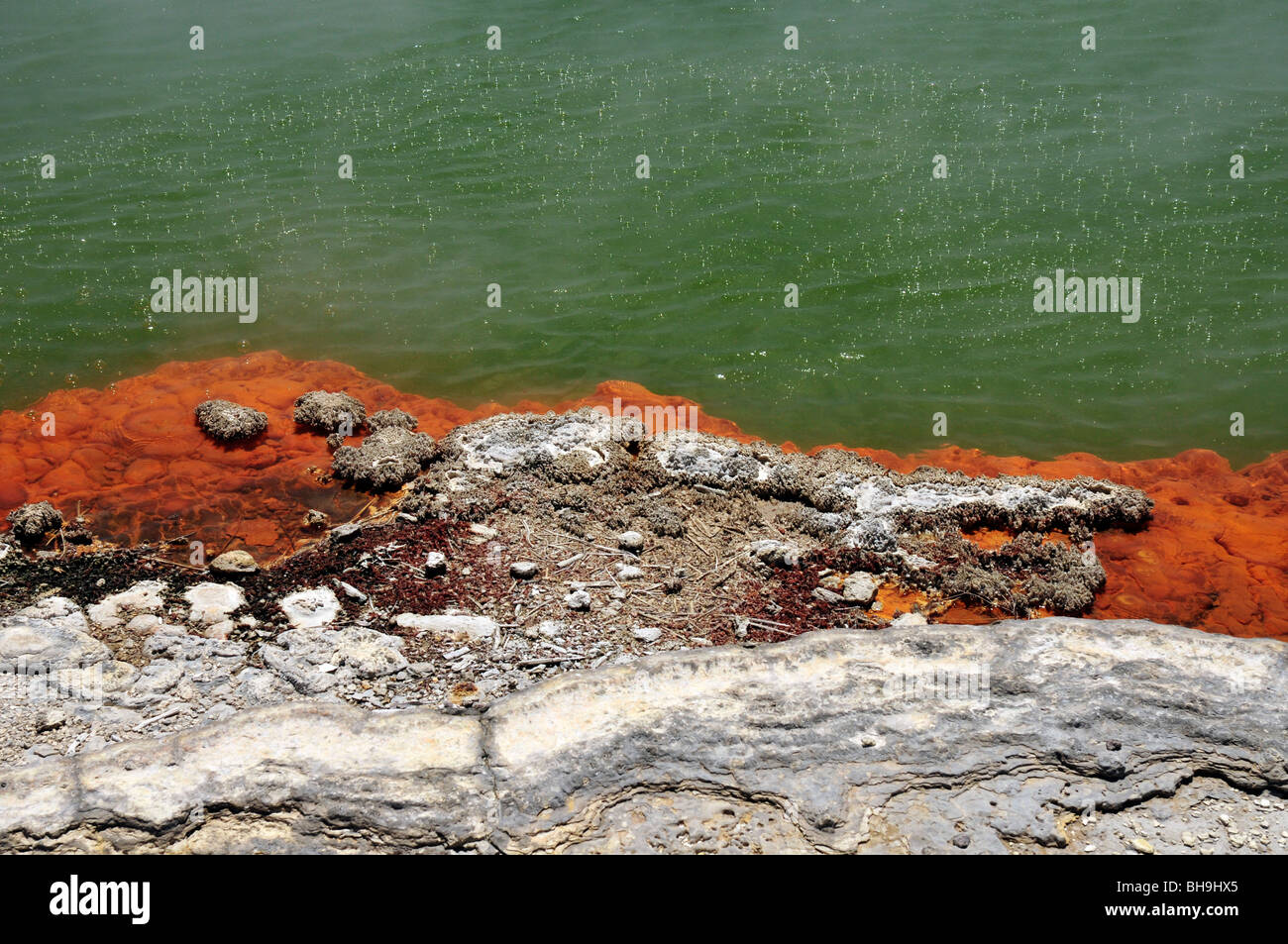 Edge of the Champagne Pool at Wai O Tapu Rotorua, North Island, New ...