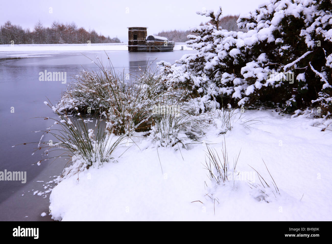 Cod beck hi-res stock photography and images - Alamy