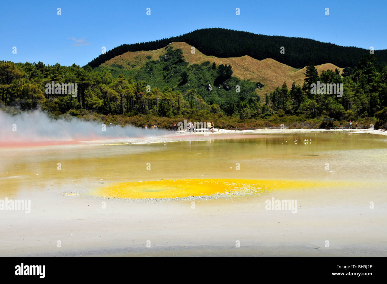 Rotarua hi-res stock photography and images - Alamy
