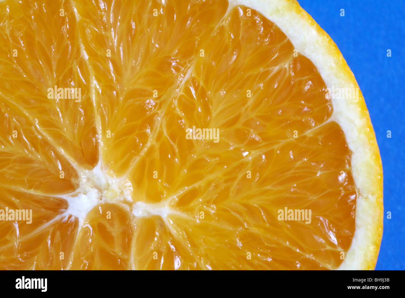 One segment hi-res stock photography and images - Alamy