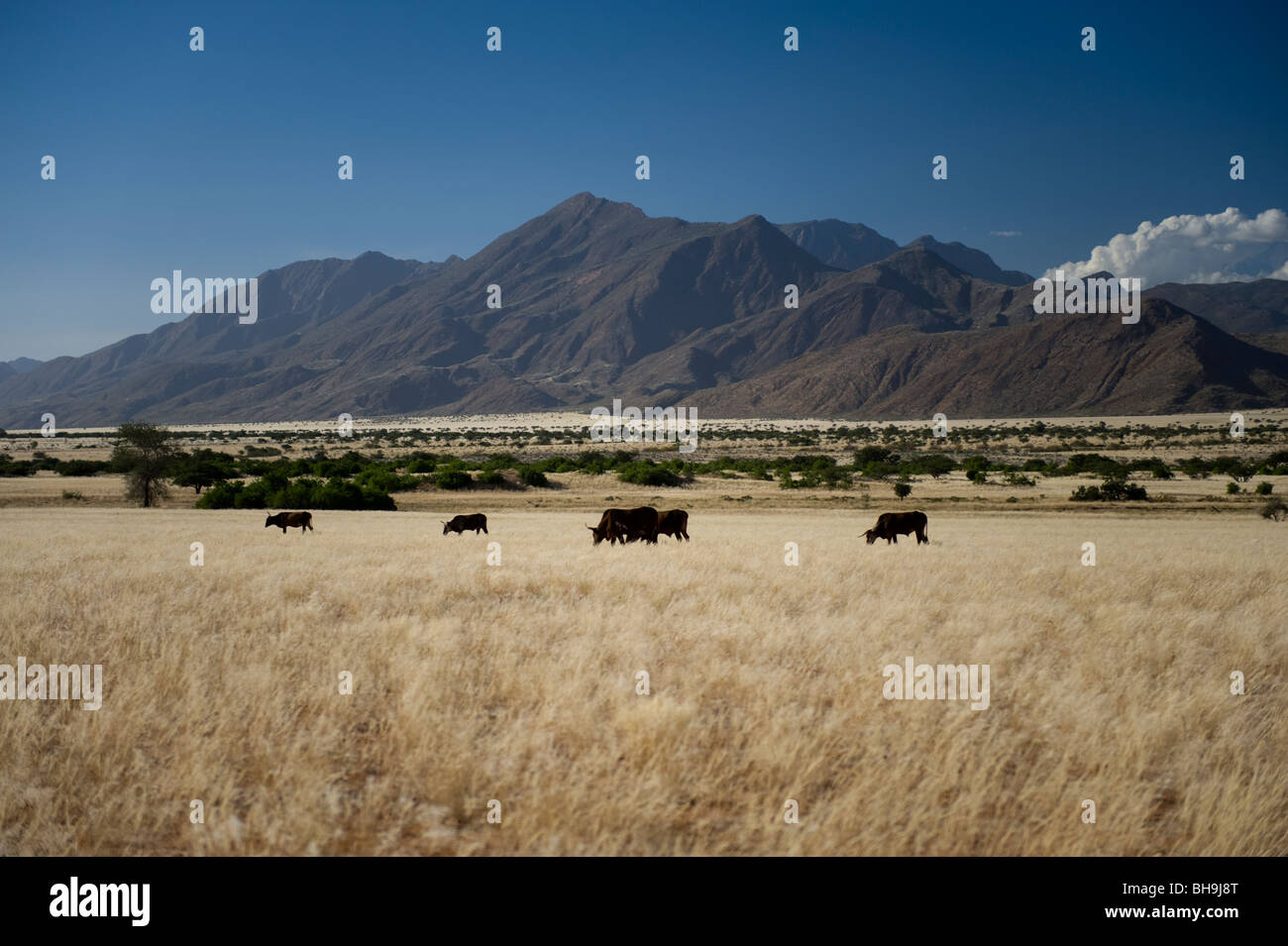 Marienfluss hi-res stock photography and images - Alamy