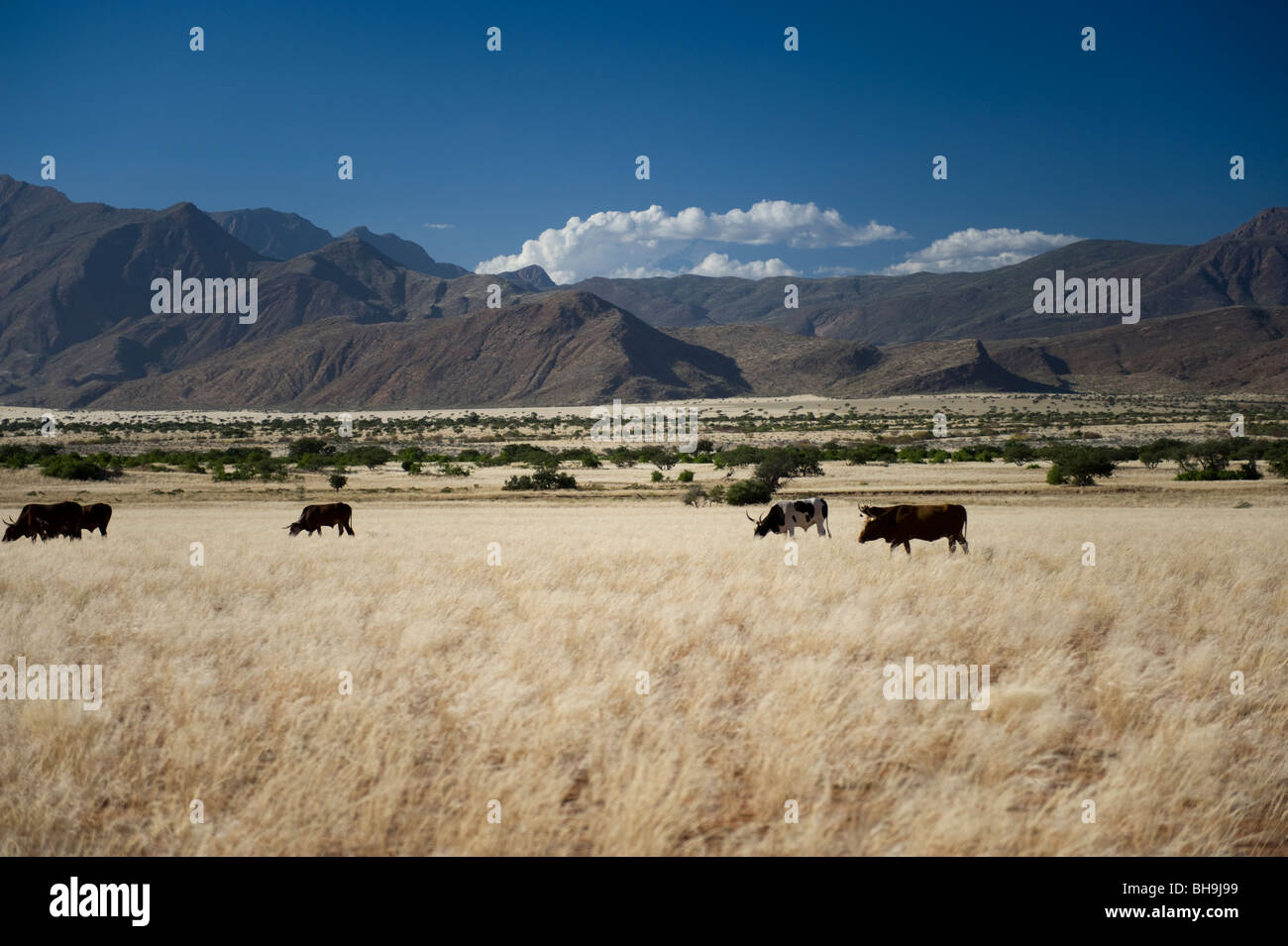 Marienfluss Stock Photos & Marienfluss Stock Images - Alamy