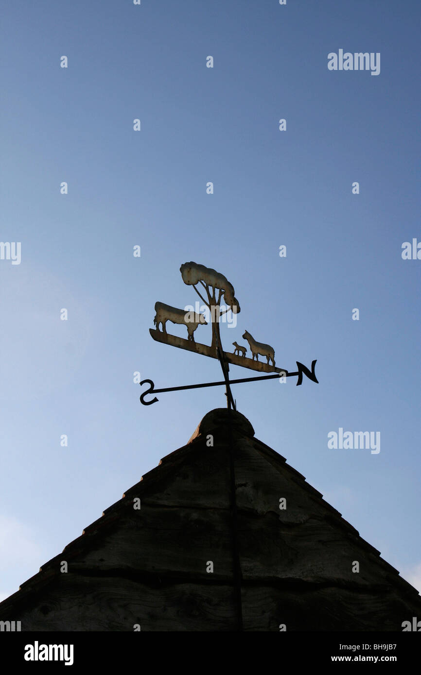 Weather vein on roof hi-res stock photography and images - Alamy