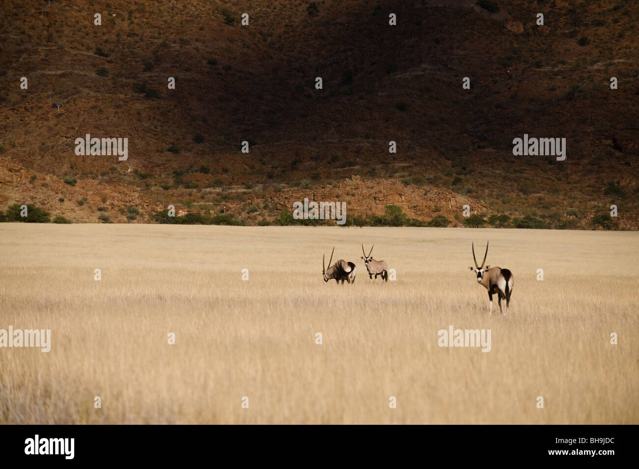 Marienfluss hi-res stock photography and images - Alamy